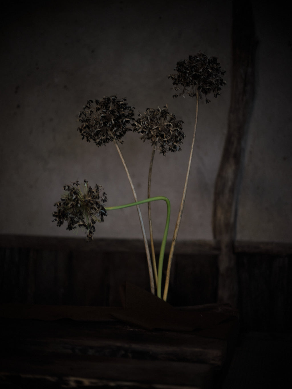 2 years anniversary and 160,000 bowls of tea served.. – Cloud Hidden