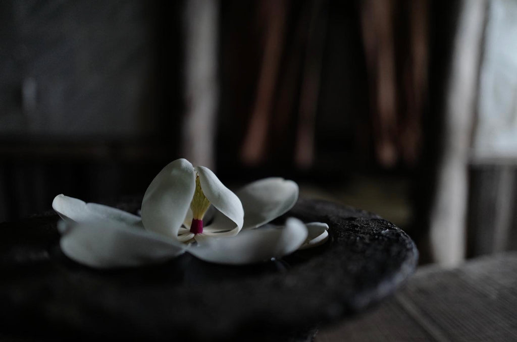 Moments which can’t be held – Cloud Hidden