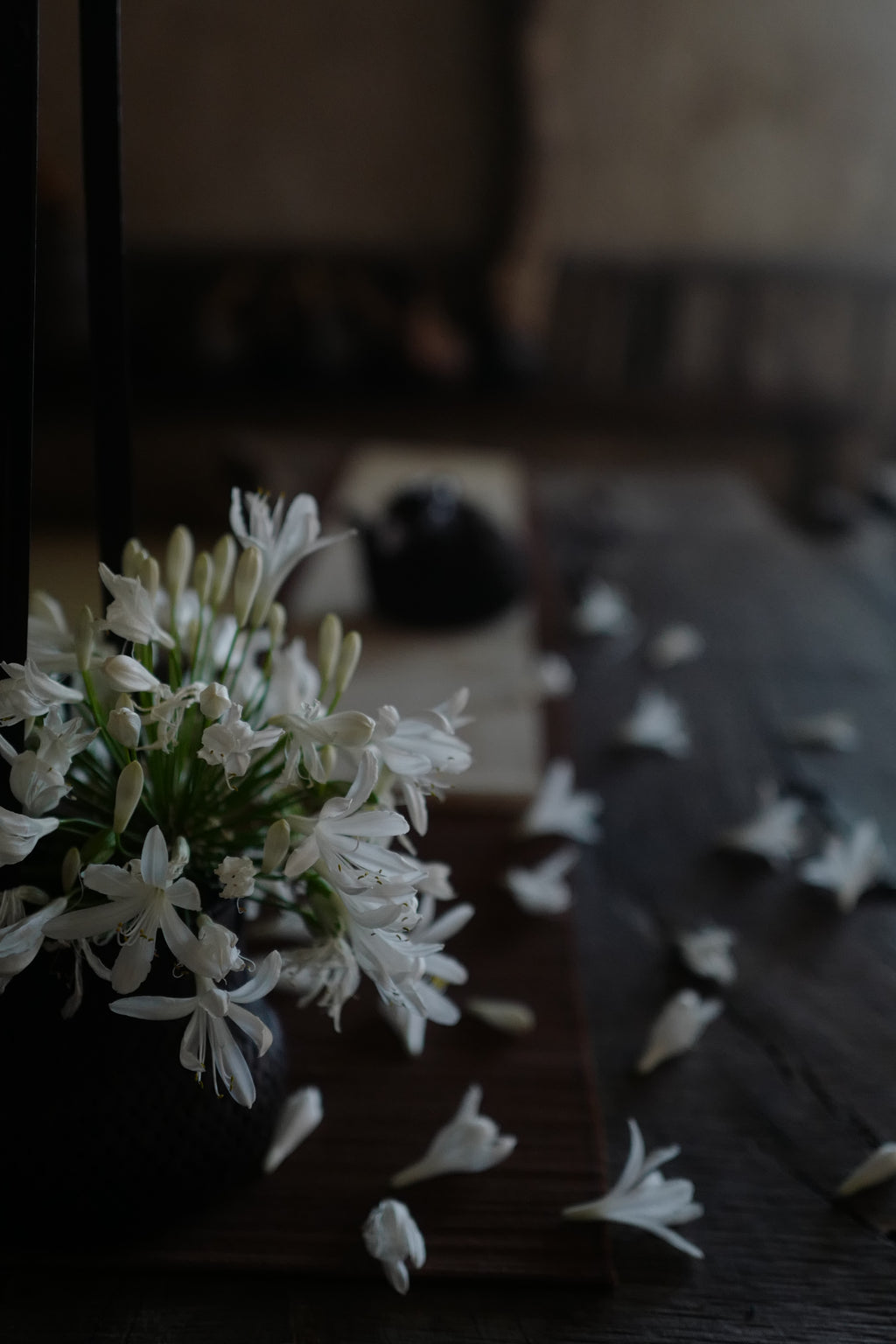 A FALLING AWAY – Cloud Hidden