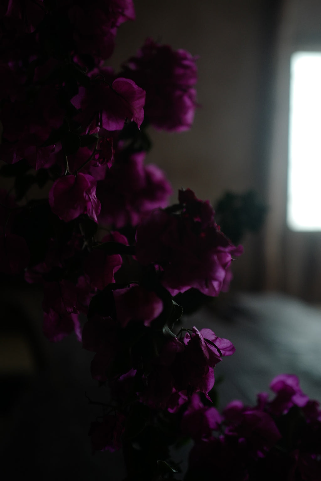 Each bowl of tea serves us an invitation to remember. – Cloud Hidden